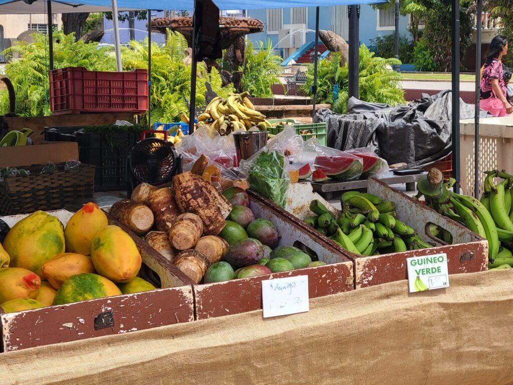 Mercado Familiar llega a la Plaza Pública de Fajardo Negocios - Isla ...